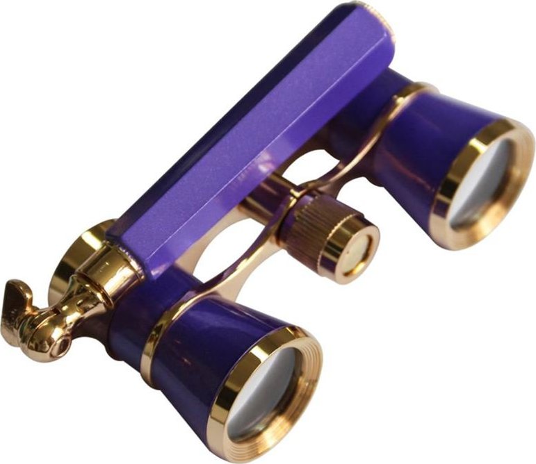 Levenhuk Broadway 325L Amethyst Lorgnet - Zbozi.cz