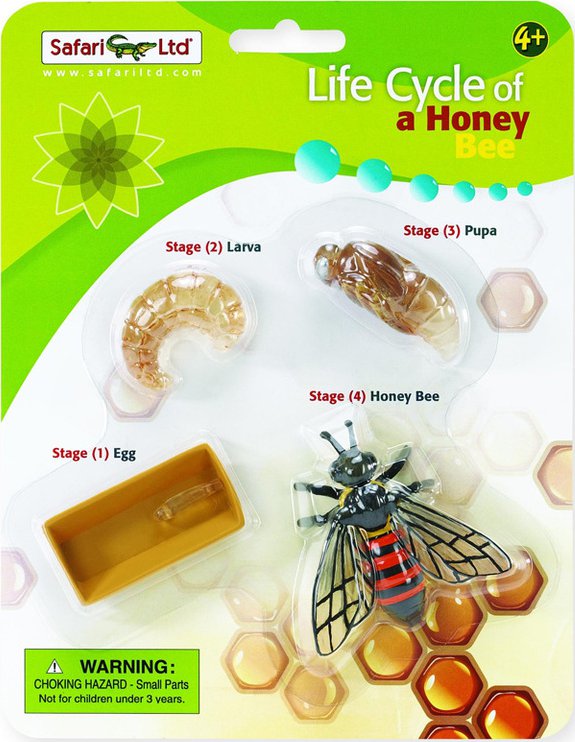 Safari Ltd. Safariology od 276 Kč - Zbozi.cz