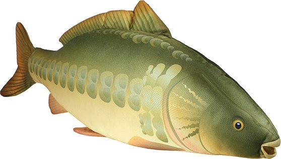 NGT Carp Pillow 70 cm od 339 Kč - Zbozi.cz