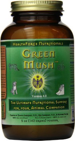 Healthforce Green Mush 142 g - Zbozi.cz
