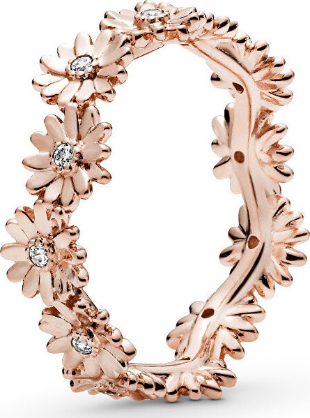 Pandora 188799C01 50 mm - Zbozi.cz