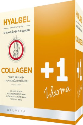 Silvita Hyalgel Collagen 2x 500 ml od 592 Kč - Zbozi.cz