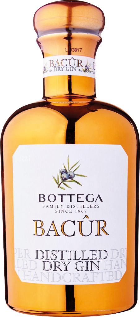 Bottega Bacur Gin 40% 1 l od 670 Kč - Zbozi.cz