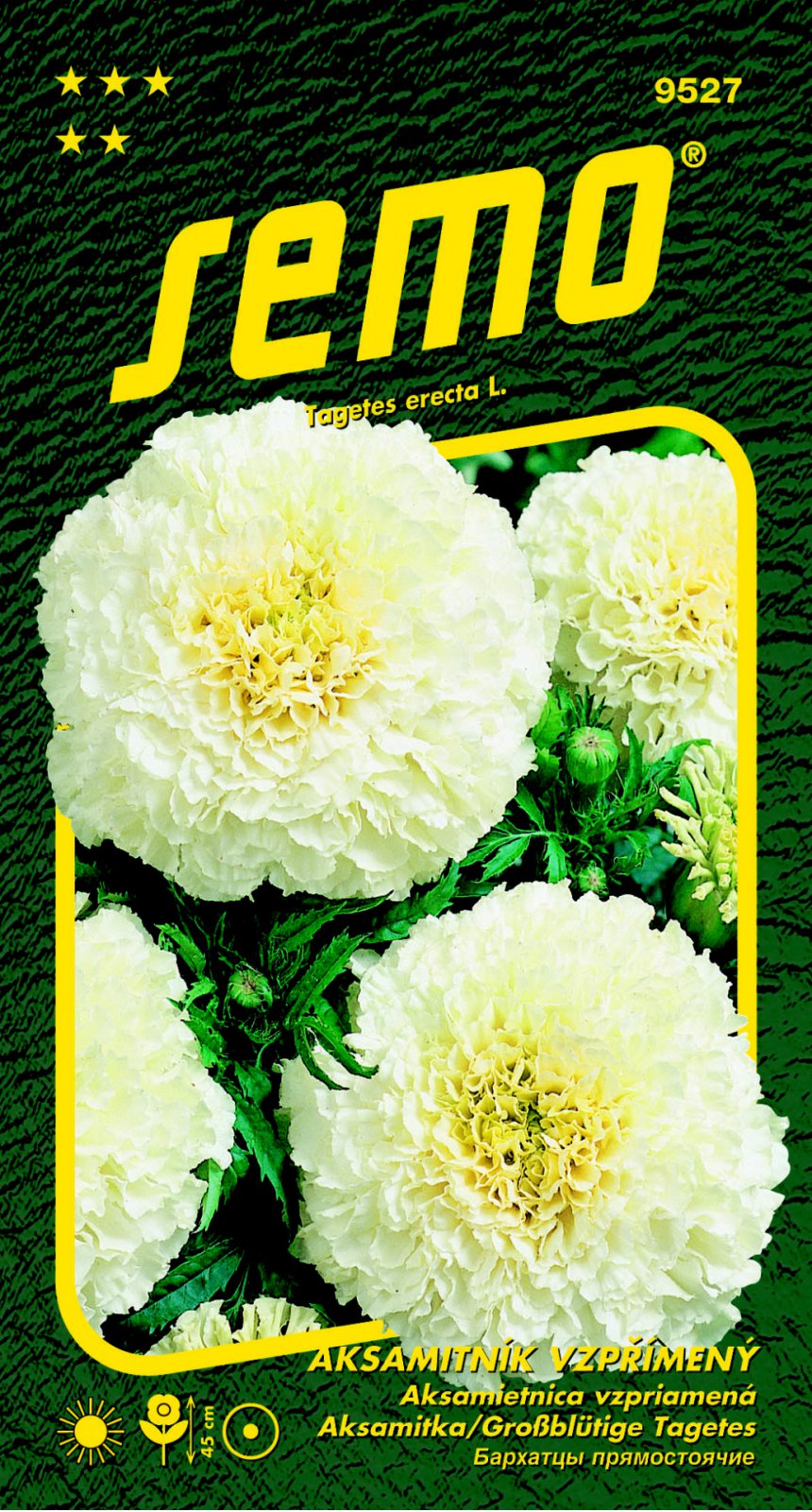 SEMO Kilimanjaro White 15 s od 19 Kč - Zbozi.cz