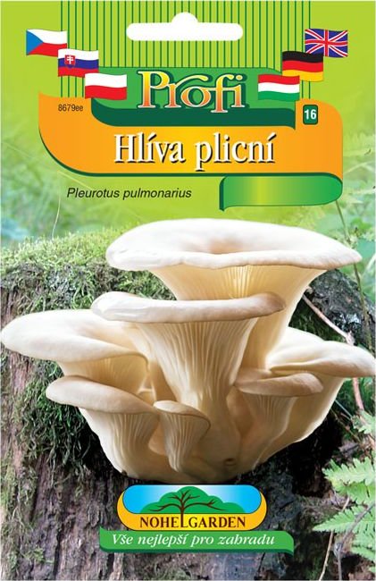 Nohel Garden Hlíva plicní sadba od 108 Kč - Zbozi.cz