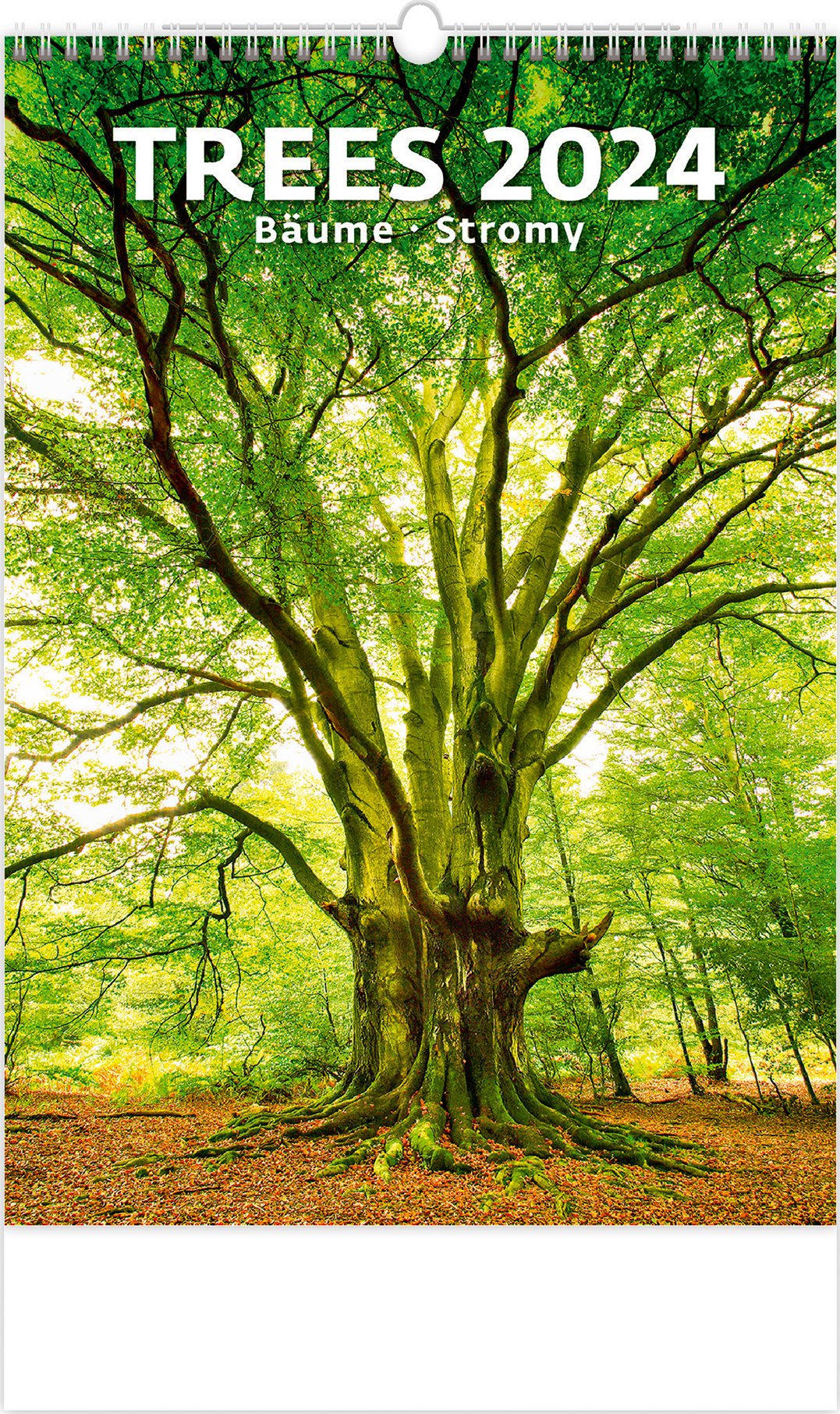 Helma365 Nástěnný kalendář Stromy 2024 - Zbozi.cz