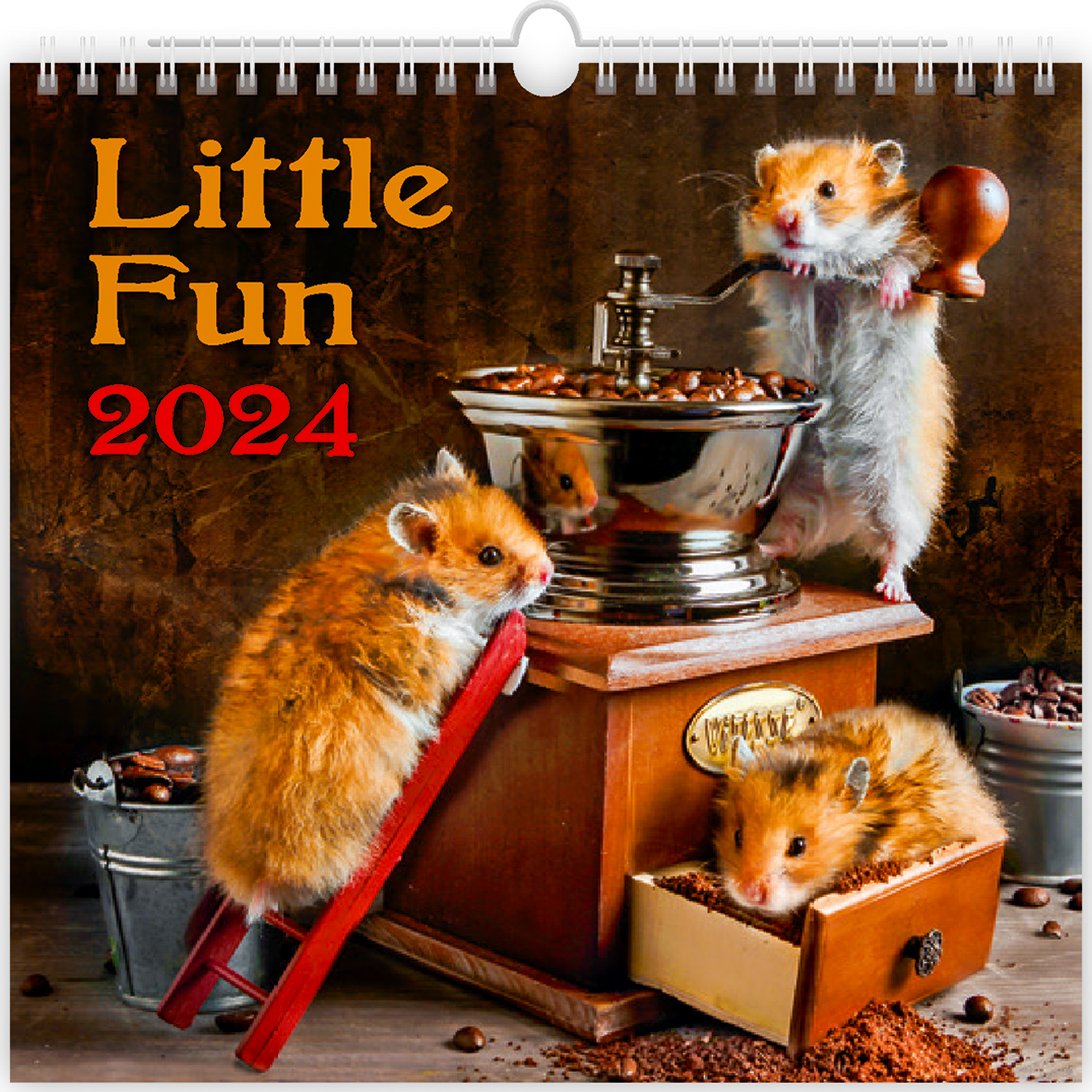 Helma365 Nástěnný kalendář Little Fun 2024 - Zbozi.cz