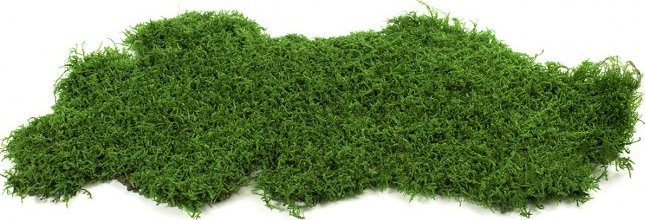 Dekorační stabilizovaný mech plochý lesní 2,5 kg zelený od 5 662 Kč ...