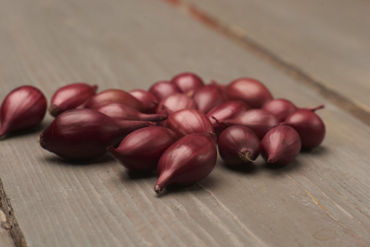 Vilmorin Akado cibule sazečka červená 250 g od 39 Kč - Zbozi.cz