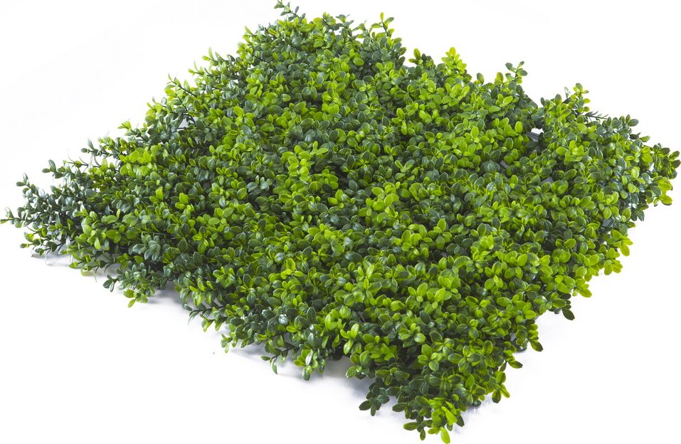 Umělý živý plot Buxus Japonicus 50 x 50 cm od 249 Kč - Zbozi.cz