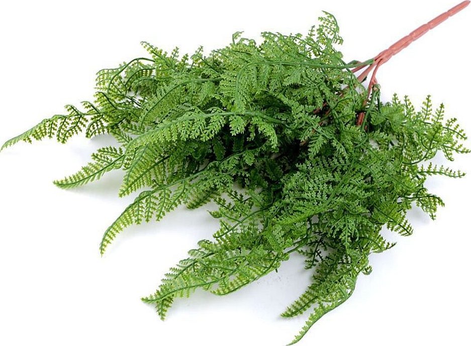 Stoklasa Umělé kapradí k aranžování 45 cm zelené od 83 Kč - Zbozi.cz