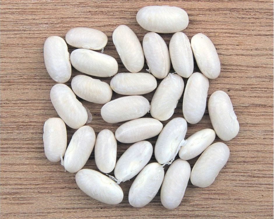 Horňácká farma Fazole středně velké bílé 1 kg - Zbozi.cz