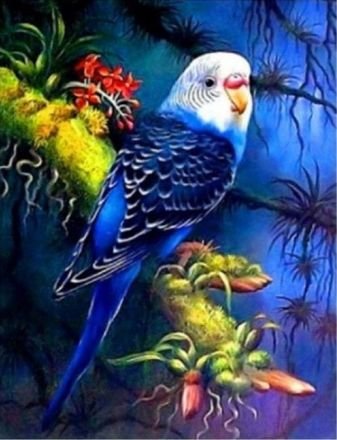 Diamantové malování Modrá andulka bez rámu 30 x 40 cm - Zbozi.cz