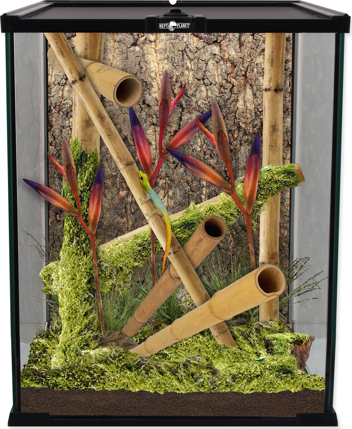 Repti Planet 007-60165 od 649 Kč - Zbozi.cz