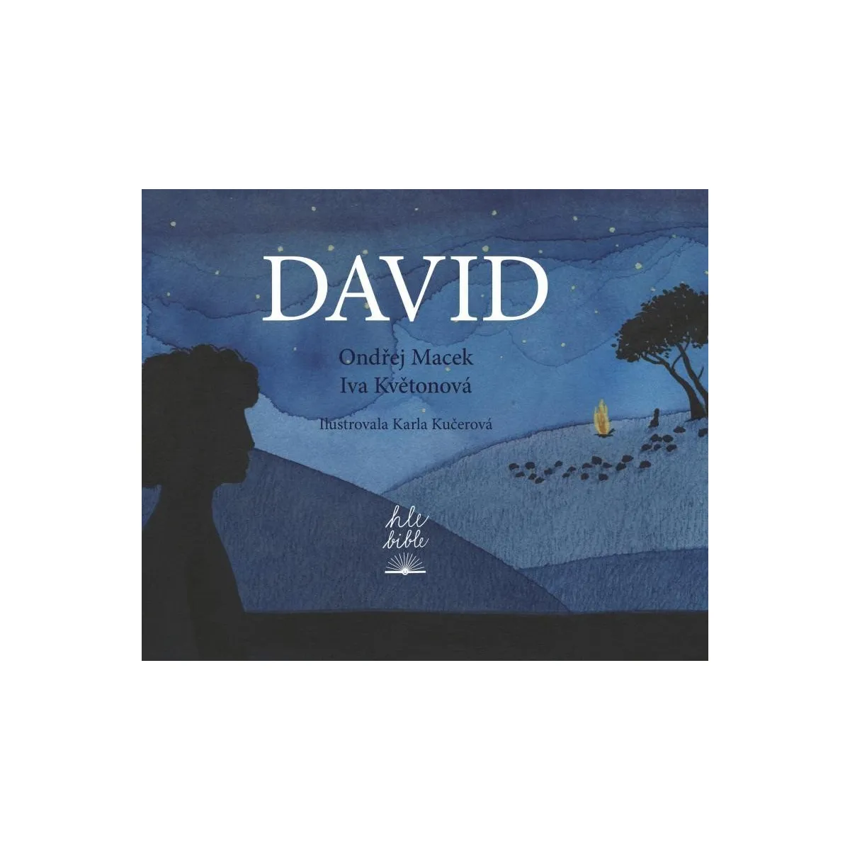 Foto David - Ondřej Macek (2022, pevná) - Zbozi.cz