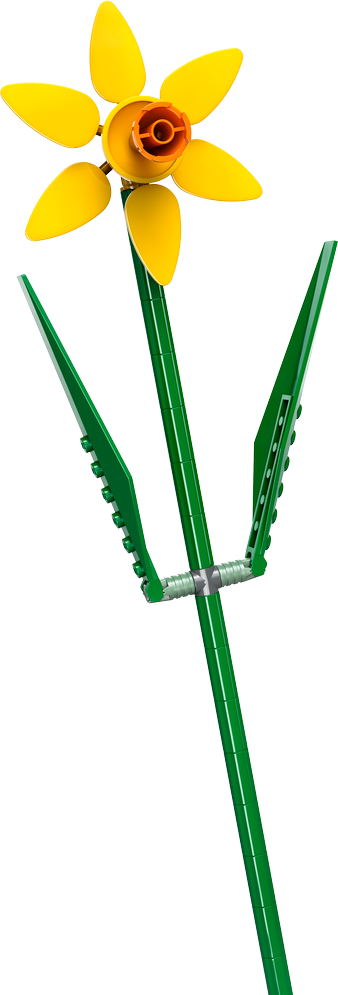 Foto Stavebnice LEGO LEGO Icons 40747 Narcisy - Zbozi.cz