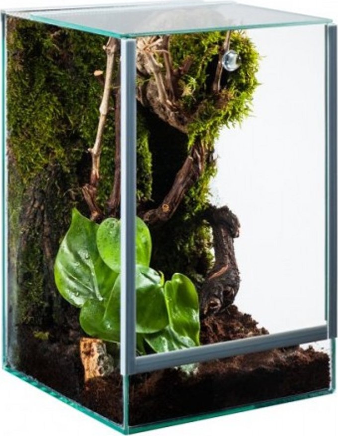 Diversa Terárium pro pavouky 20 x 20 x 30 cm od 669 Kč - Zbozi.cz