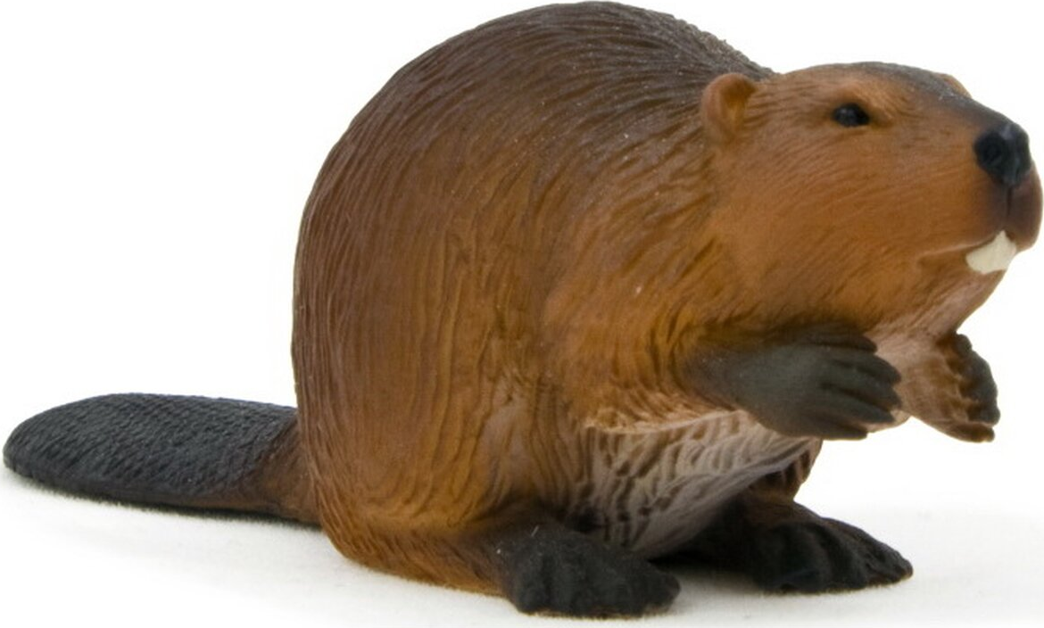 Mojo Fun Bobr od 94 Kč - Zbozi.cz