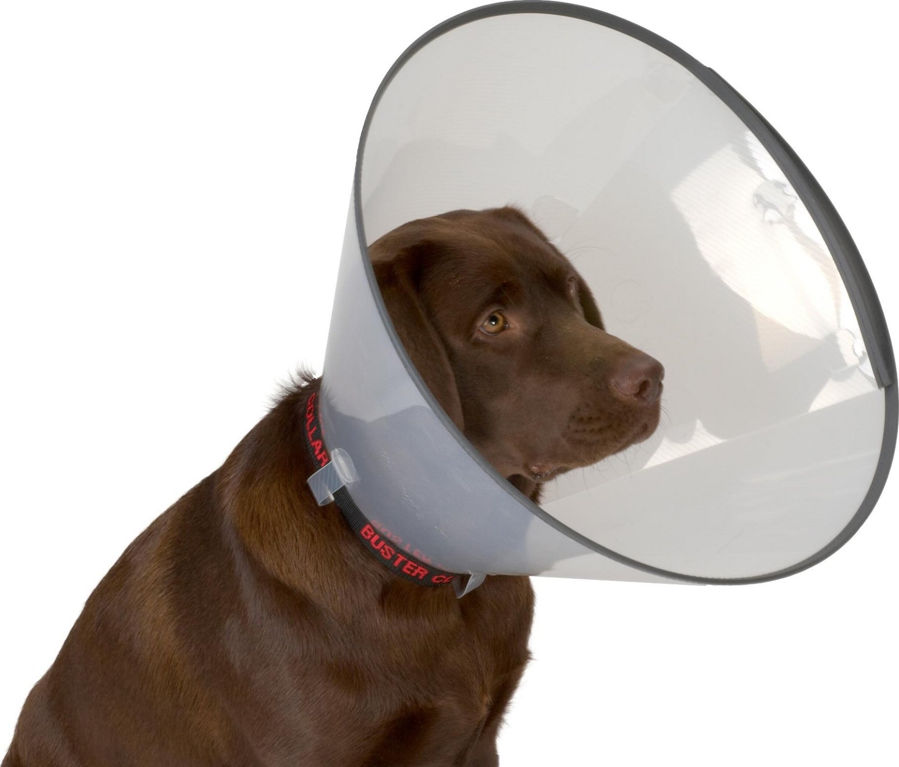 Kruuse Buster Comfort Collar od 133 Kč - Zbozi.cz