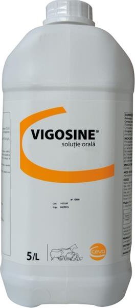 Ceva Animal Health Slovakia Vigosine liq 5 l - Zbozi.cz