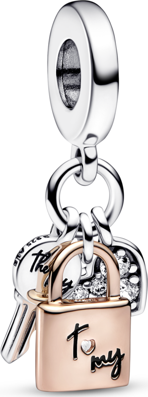 PANDORA 782506C01 od 1 698 Kč - Zbozi.cz