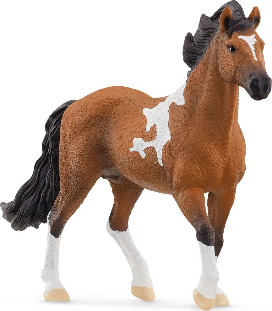 Schleich 13978 Hřebec Mangalarga Marchador od 169 Kč - Zbozi.cz