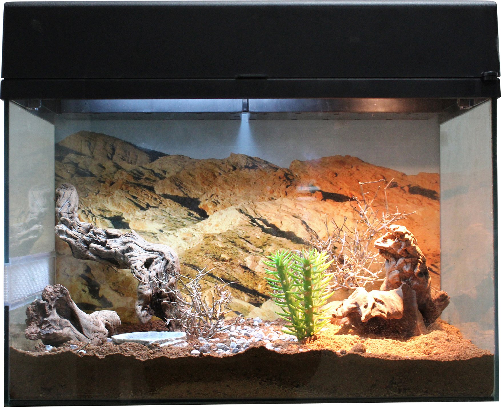 Lucky Reptile Starter Kit Desert Gecko černé 50 x 28 x 40 cm od 5 179 ...