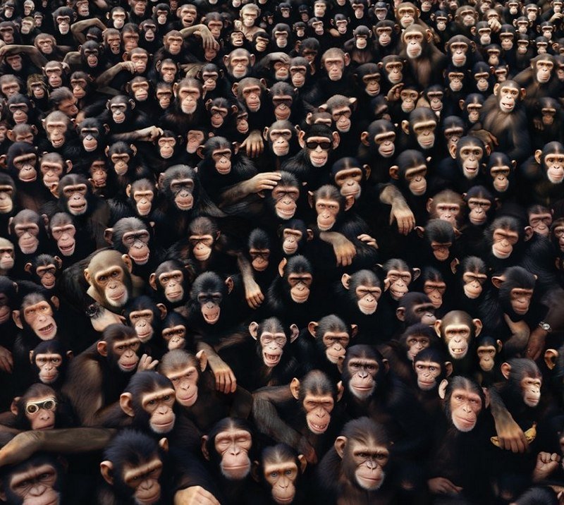 Planeta opic - Viktor Sheen [CD] od 317 Kč - Zbozi.cz