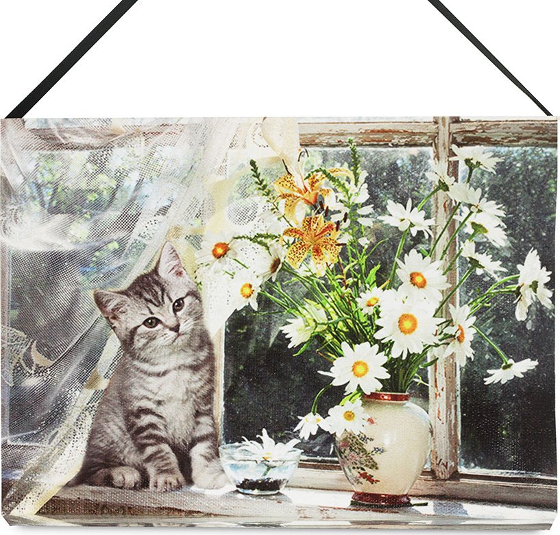 Autronic BD548 20 x 15 cm kočka - Zbozi.cz