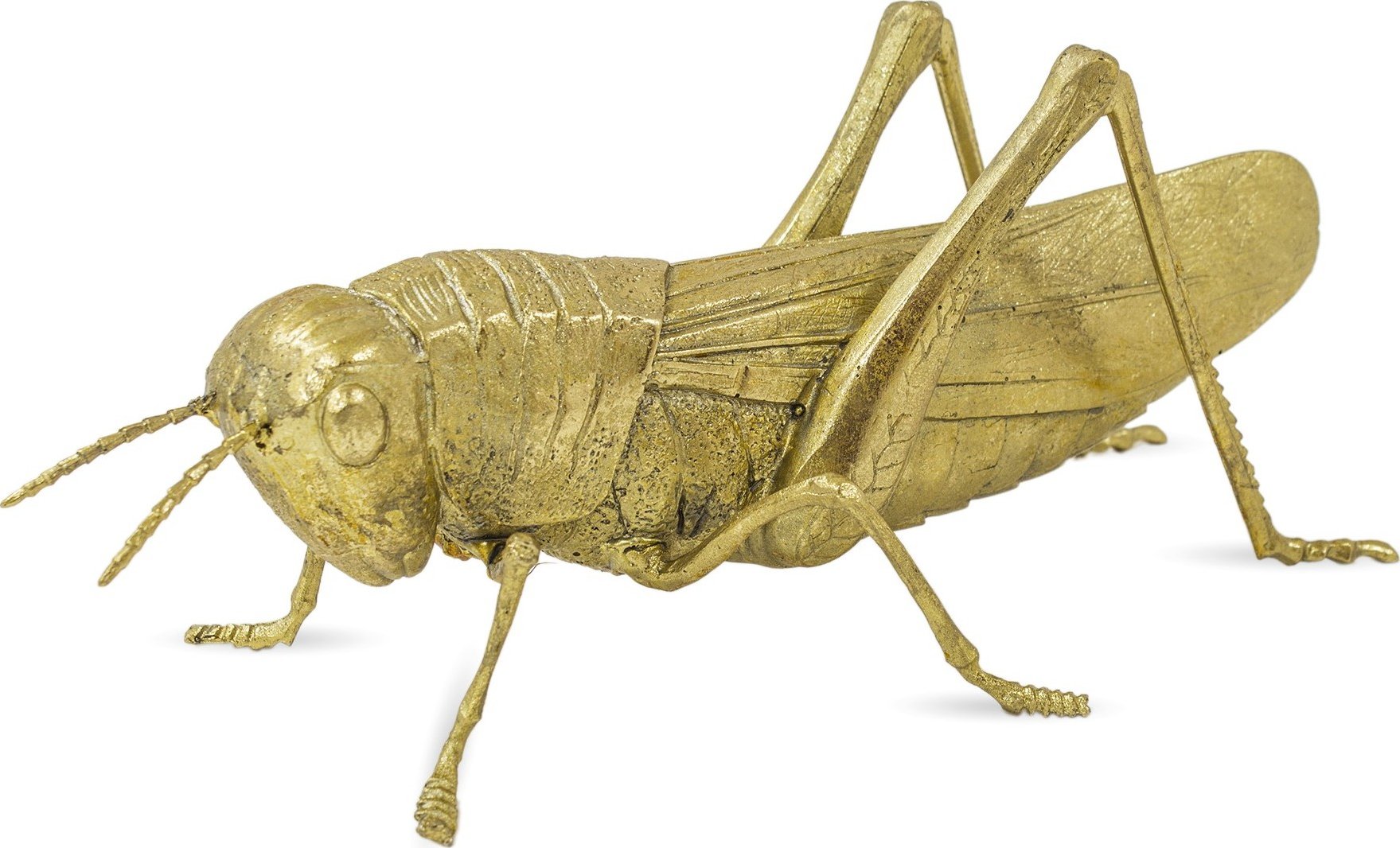 Zlatá kobylka 10 x 25 x 12 cm - Zbozi.cz