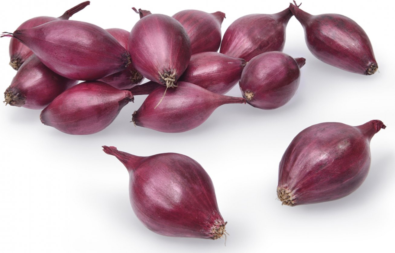 Akado cibule sazečka ozimá 8-16 mm 500 g - Zbozi.cz