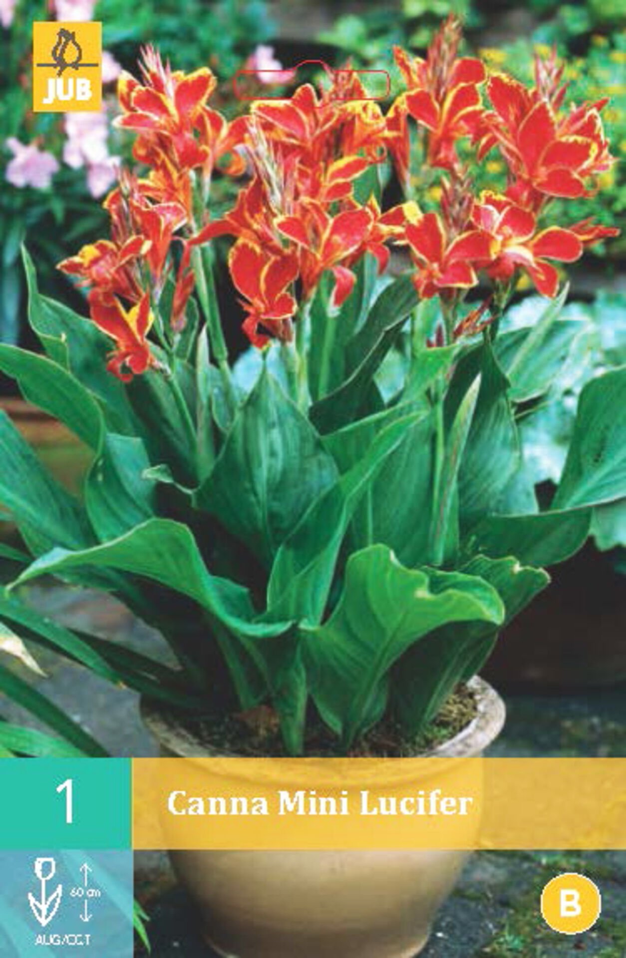 JUB Holland Kana Mini Lucifer B 1 ks od 109 Kč - Zbozi.cz