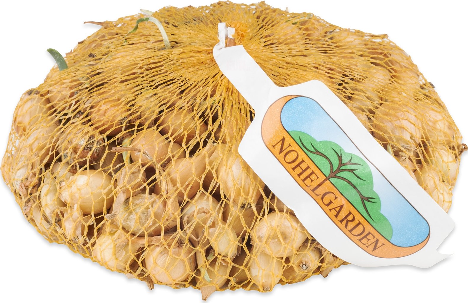 Nohel Garden Všetana cibule sazečka 250 g - Zbozi.cz