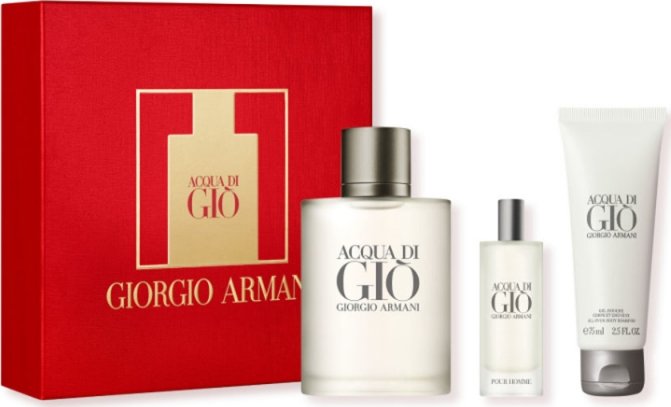 Giorgio Armani Acqua di Gio Pour Homme M EDT 100 ml + EDT 15 ml ...
