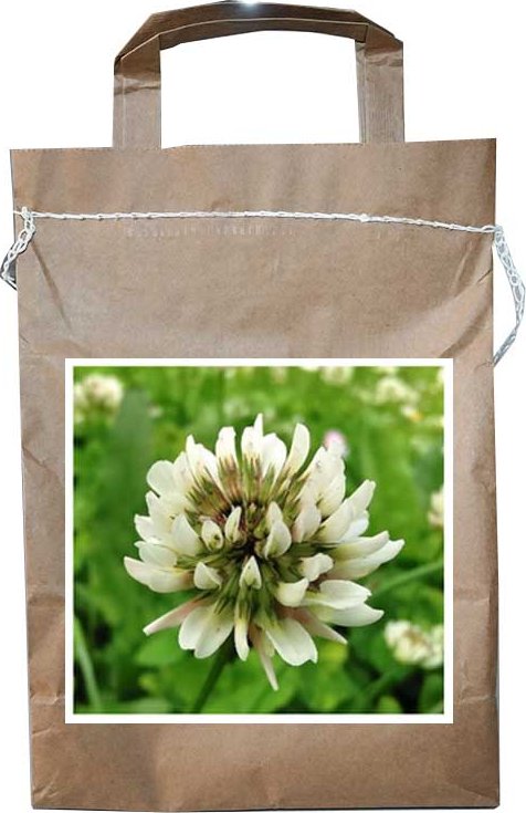 Jetel plazivý Jura 1 kg od 544 Kč - Zbozi.cz