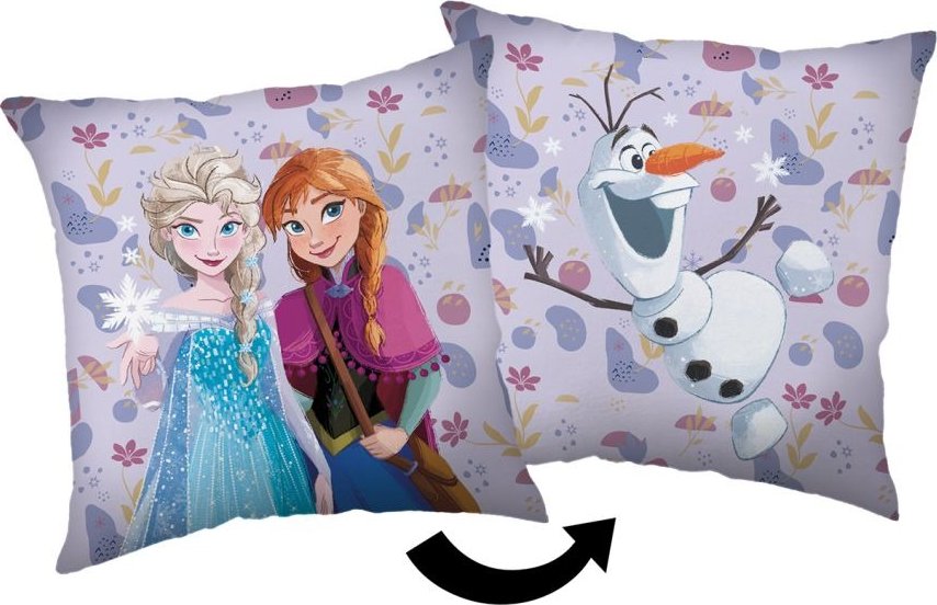 Jerry Fabrics Frozen povlak na polštářek 40 x 40 cm Sisters 05 od 118 ...