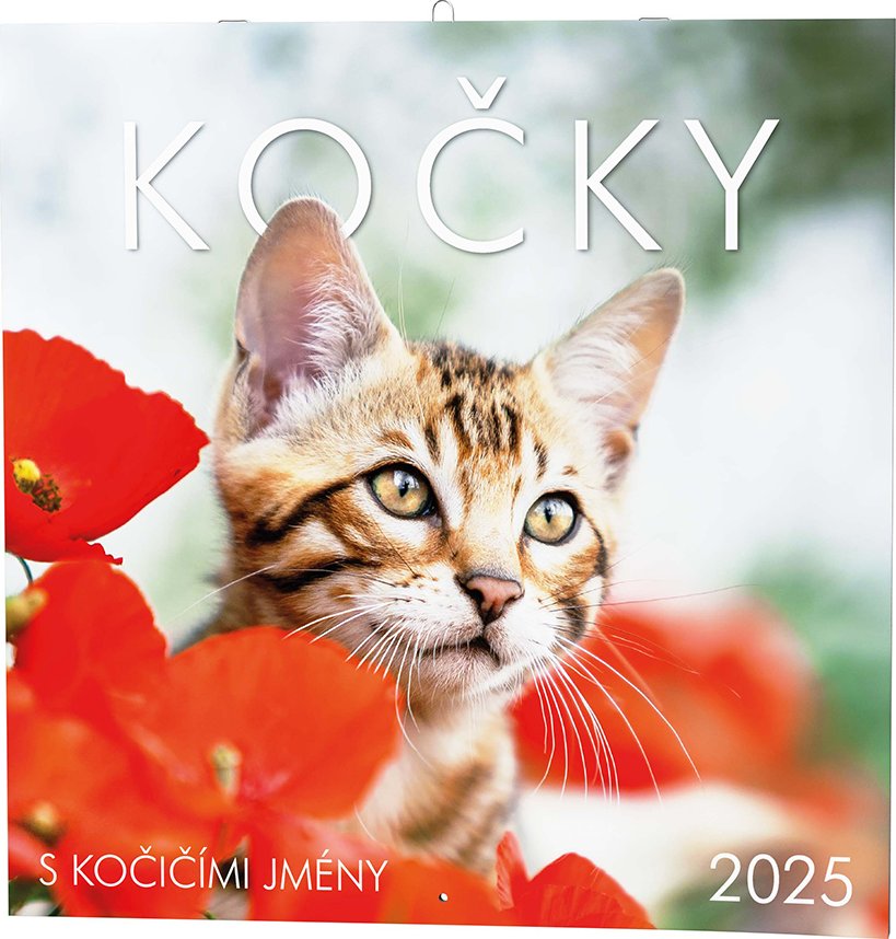 Baloušek Tisk Nástěnný kalendář BNL1-25 Kočky 2025 od 128 Kč - Zbozi.cz
