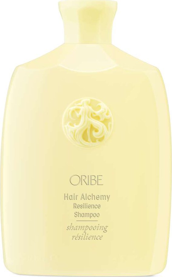 Oribe Hair Alchemy Resilience Shampoo 250 ml od 1 000 Kč - Zbozi.cz