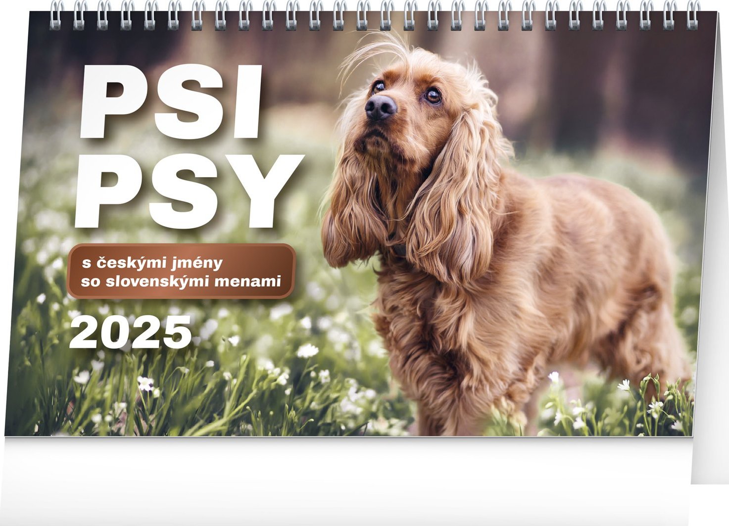 Notique Stolní kalendář Psi/Psy 2025 od 73 Kč - Zbozi.cz