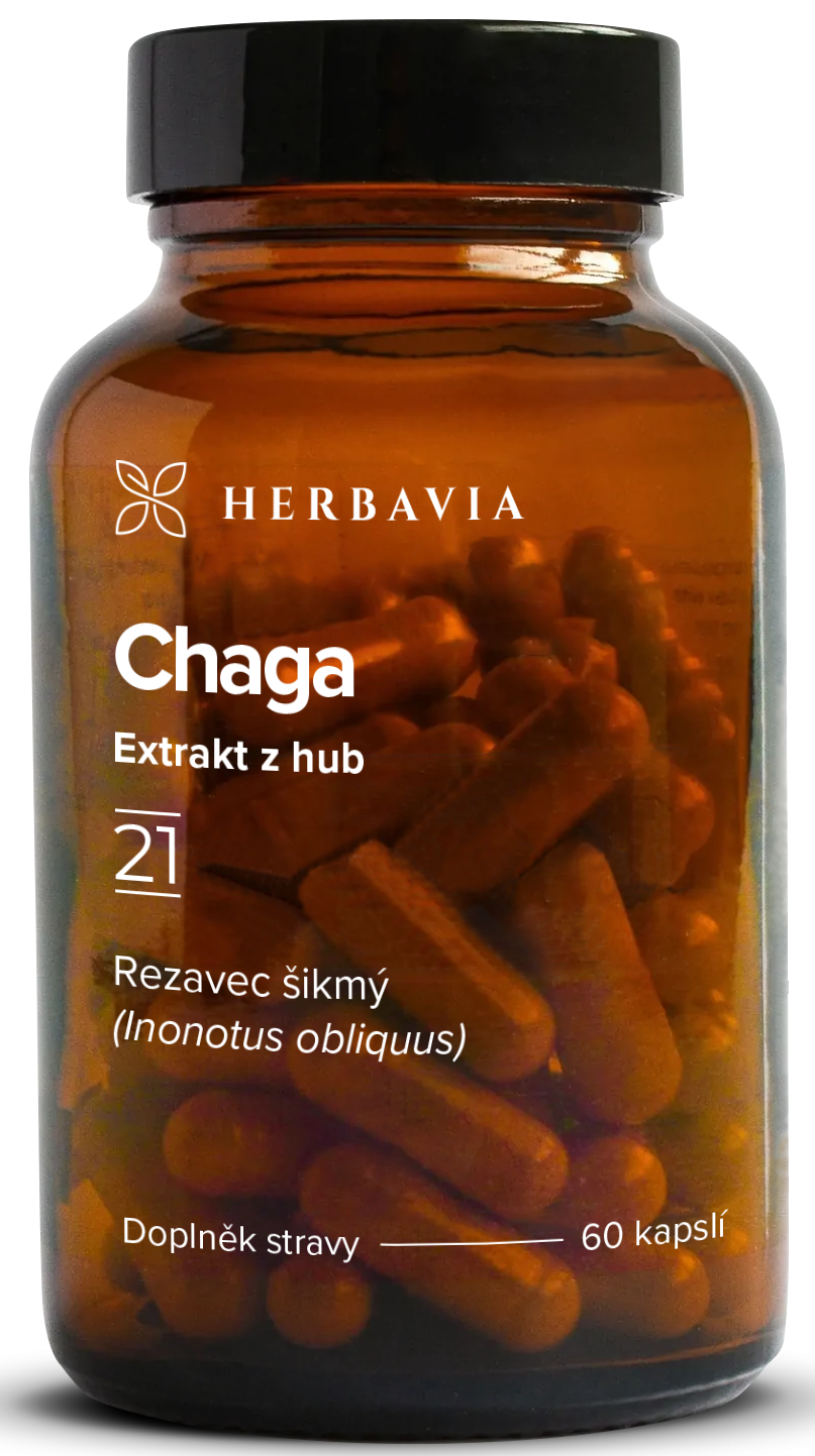 Herbavia Chaga 660 mg 60 cps. od 389 Kč - Zbozi.cz