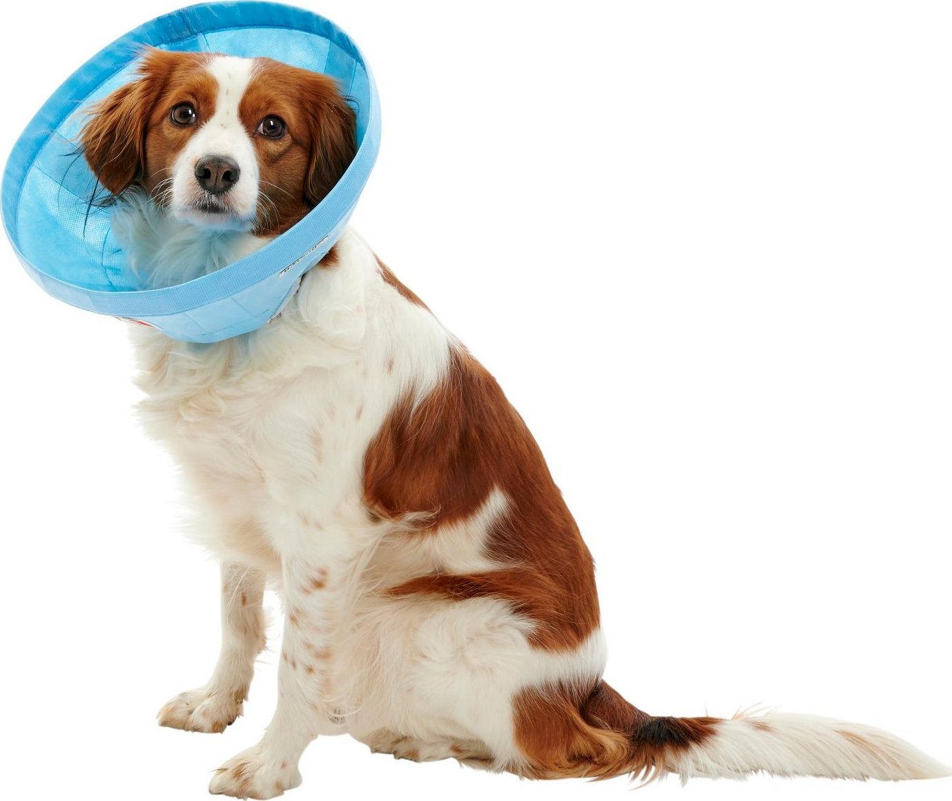 Kruuse Buster Soft Flex Collar od 273 Kč - Zbozi.cz