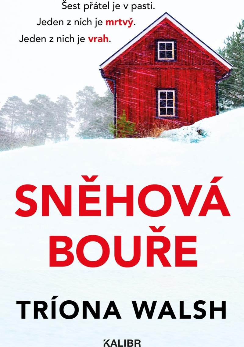 Recenze Sněhová bouře - Triona Walsh (2025, pevná) - Zbozi.cz