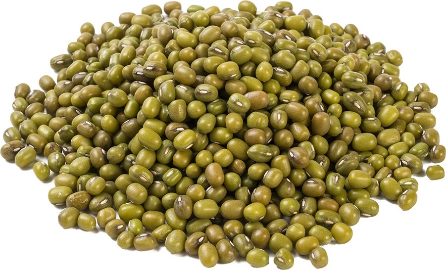 Les Fruits du Paradis Mungo fazole BIO 25 kg od 2 800 Kč - Zbozi.cz