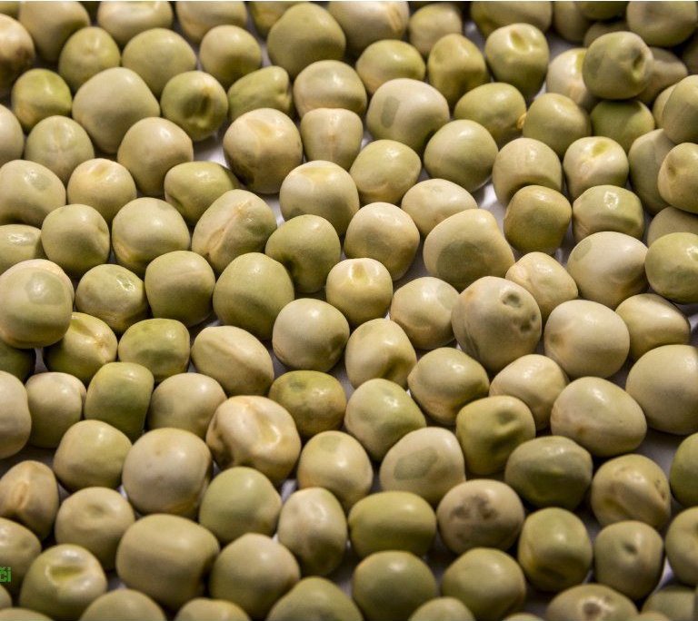 Microgreens Hrách setý Affyla, 100 g od 50 Kč - Zbozi.cz