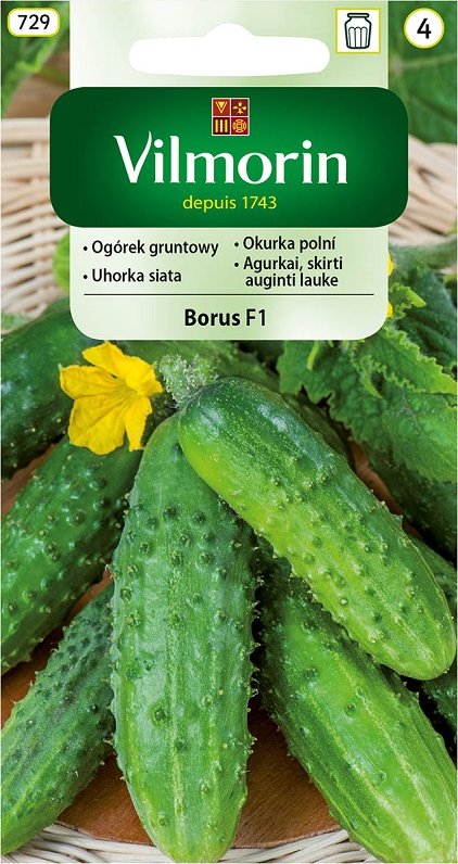Vilmorin Okurka polní Borus F1 5 g od 76 Kč - Zbozi.cz