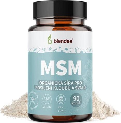 Blendea MSM 90 cps. od 199 Kč - Zbozi.cz