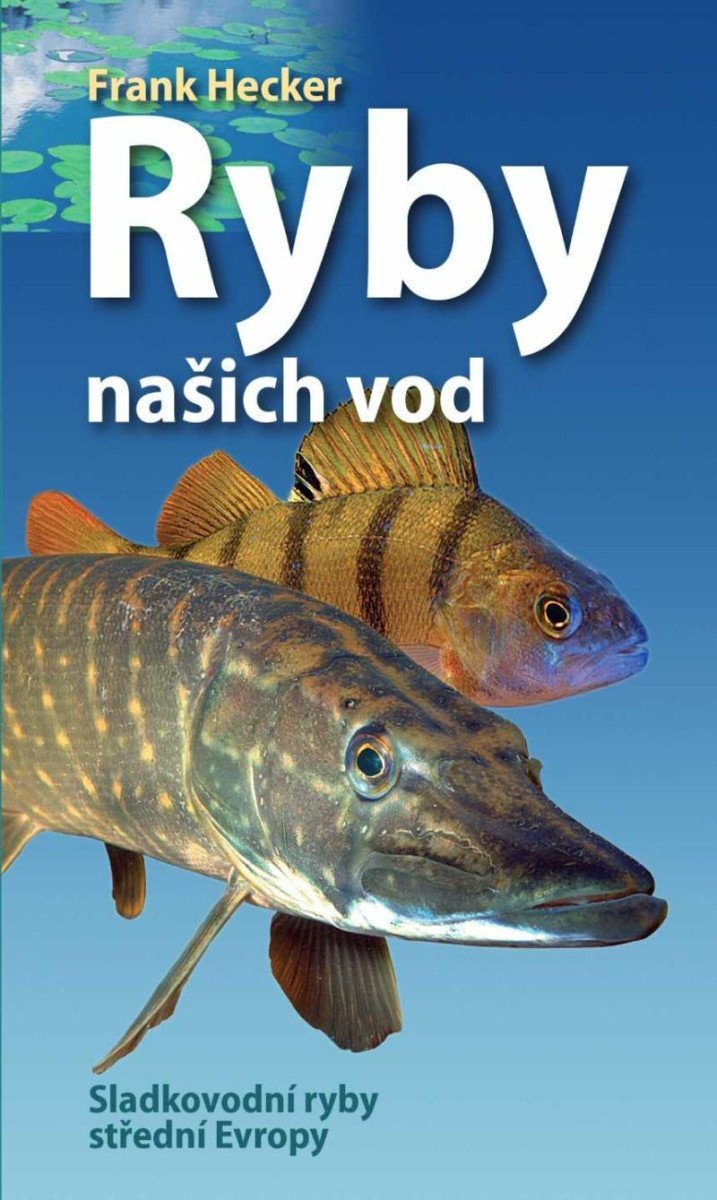 Ryby našich vod: Sladkovodní ryby střední Evropy - Frank Hecker (2025 ...