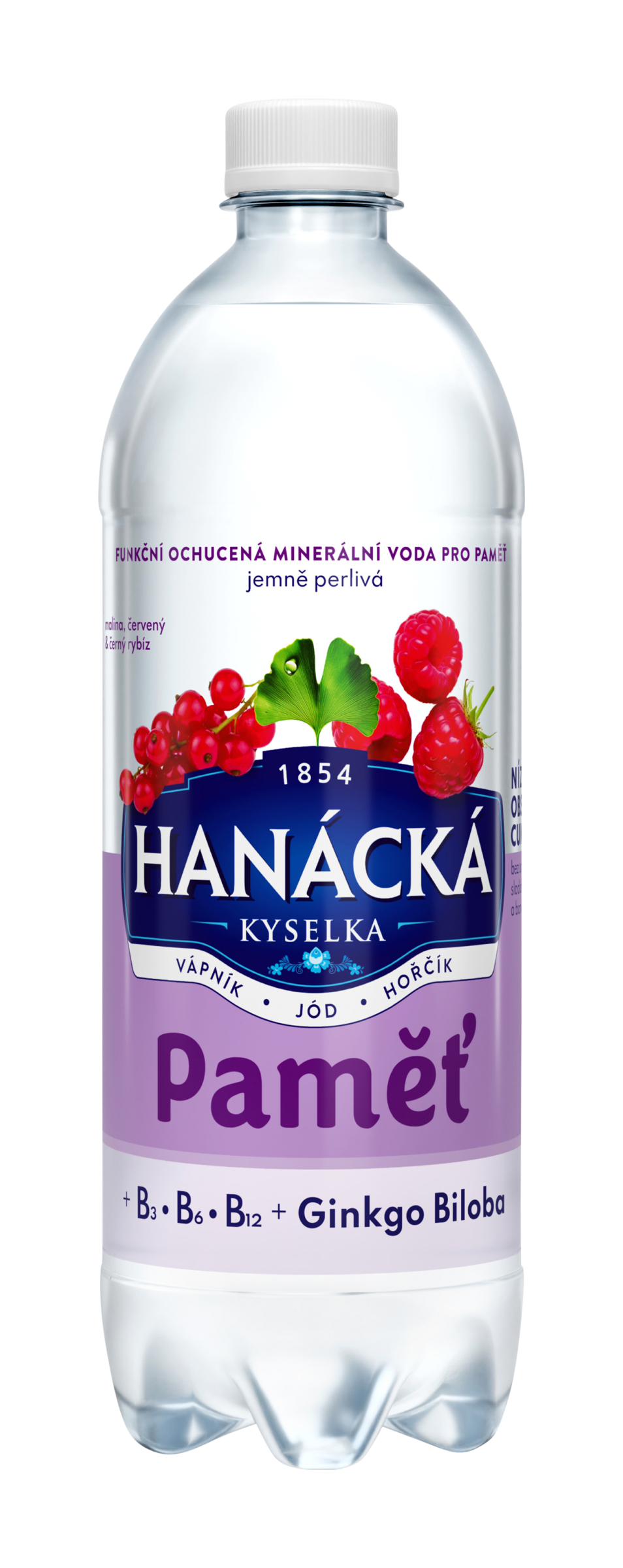 Hanácká kyselka Paměť funkční ochucená minerální voda 0,7 l od 18 Kč ...