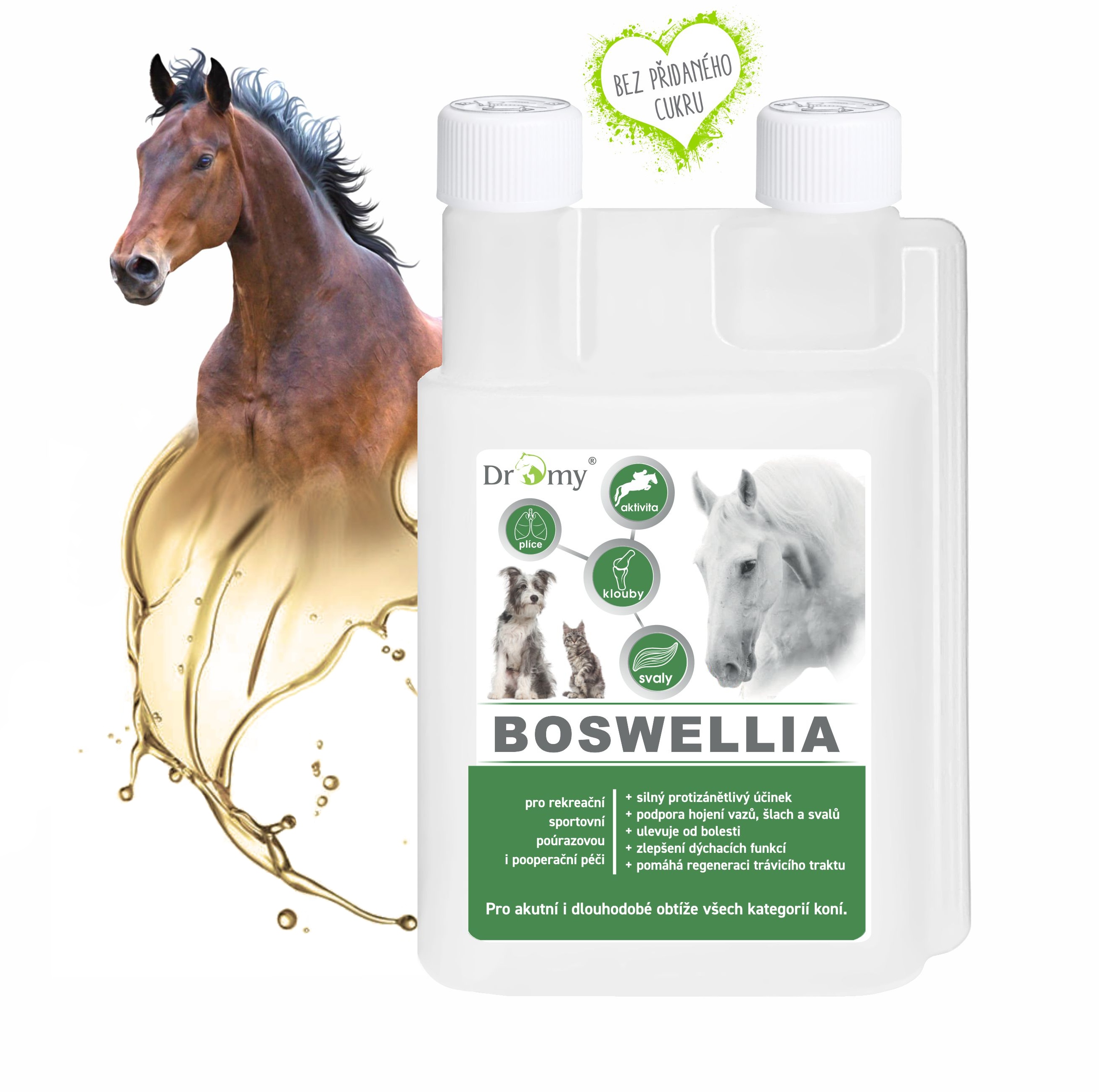 Dromy Boswellia Serrata Liquid 1 l od 755 Kč - Zbozi.cz