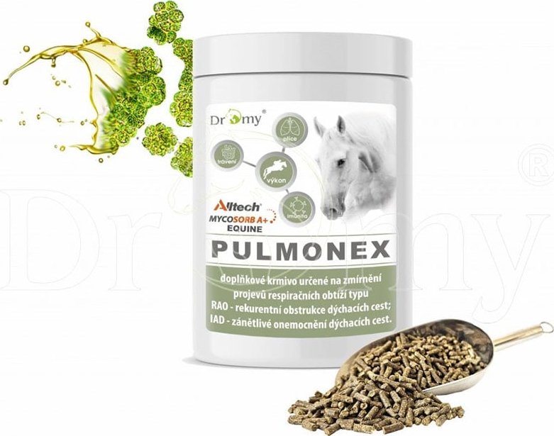 Recenze Dromy Pulmonex - Zbozi.cz